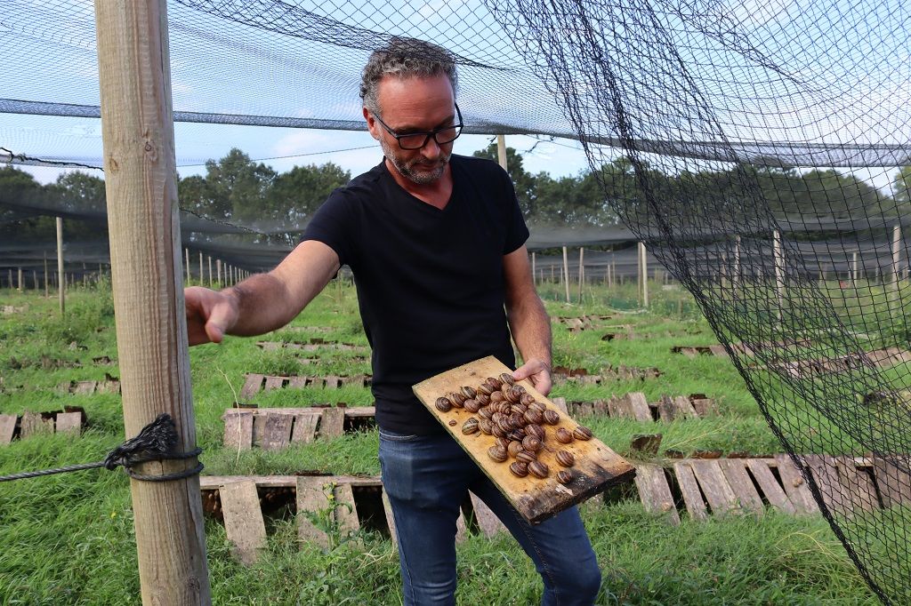 Visite à la Maison Royer - Office de Tourisme du Pays des Herbiers
